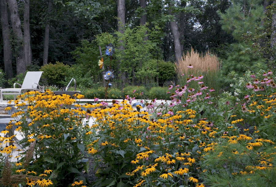 Illinois-Friendly Flowers - Van Zelst