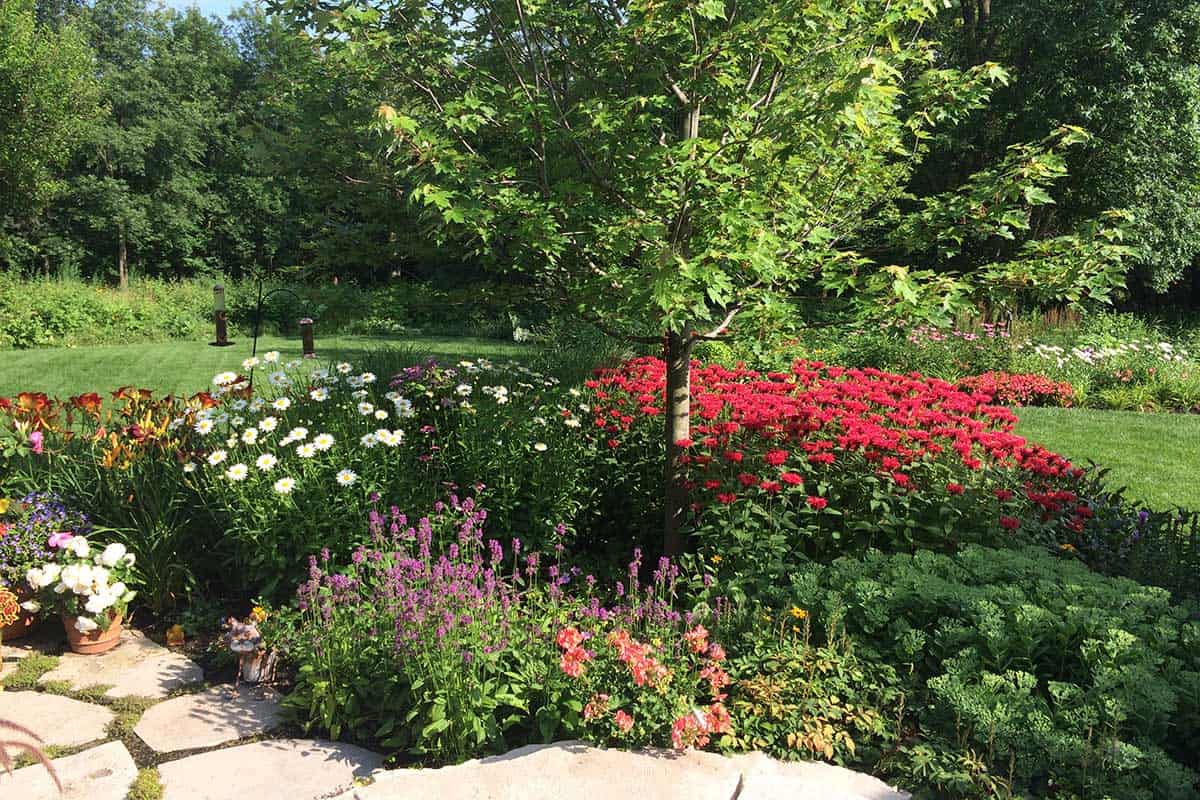 Mixed Perennial Border | Vibrant Colors | Bristol WI | Van Zelst