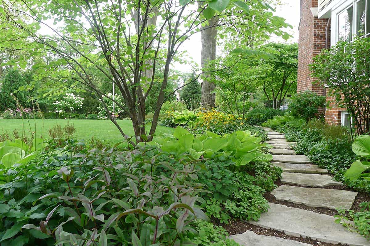 Shaded Walkway | Flagstone Steppers | Redbud Specimen Tree - Van Zelst